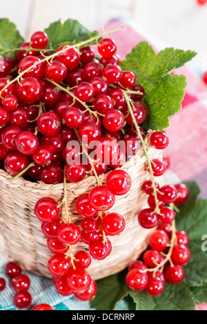 Fresh harvested Red Currants (macro shot Stock Photo - Alamy