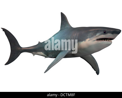 The Megalodon is an extinct megatoothed shark from prehistoric seas and ...
