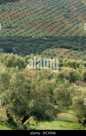 Farm land and trees Stock Photo - Alamy