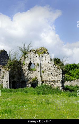 Quarr Abbey Ruins, Dissolution of the Monasteries, Wooten Bridge, Ryde ...