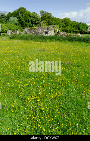Quarr Abbey Ruins, Dissolution of the Monasteries, Wooten Bridge, Ryde ...