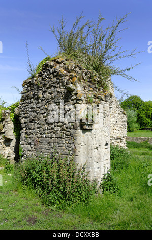 Quarr Abbey Ruins, Dissolution of the Monasteries, Wooten Bridge, Ryde ...
