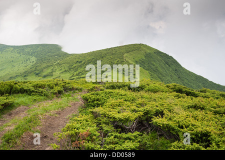 Summer panorama of Montenegrin mountain range Stock Photo - Alamy