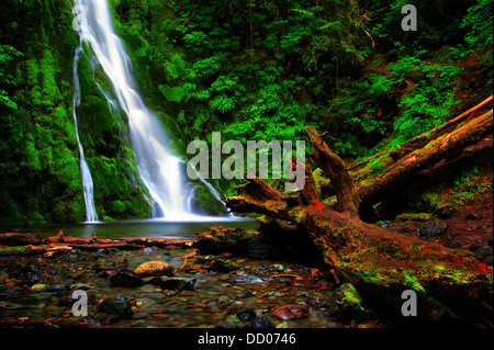 Madison Falls at Olympic National Park Stock Photo - Alamy