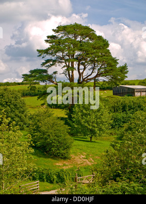 Molland, Devon, England Stock Photo - Alamy