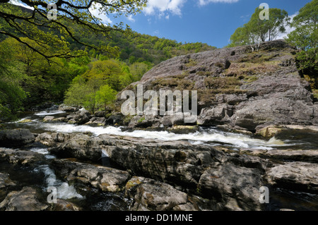 Rapids on River Tywi, RSPB Dinas, Llandovery, Central Wales Stock Photo ...