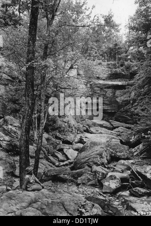 Burden Falls is located in the Shawnee National Forest in Illinois. It ...
