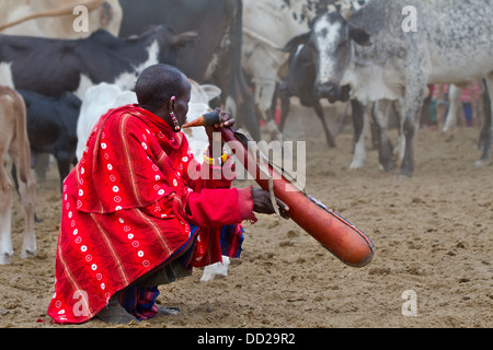 Male Maasai in traditional Shuka clothing with shepherd's crook, Tsavo ...