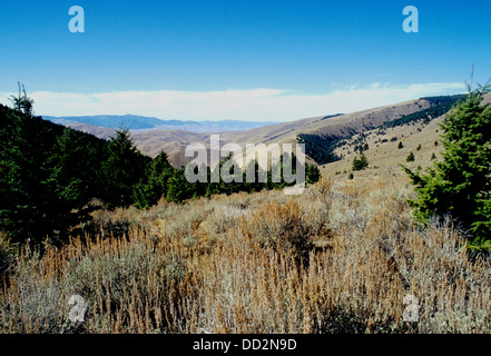 Lemhi Pass, where Lewis and Clark first crossed the Continental Divide ...