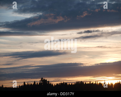 Decline above a wood. Russia Stock Photo - Alamy