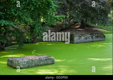 Pond made by First World War One mine crater at the WW1 Hooge Crater ...
