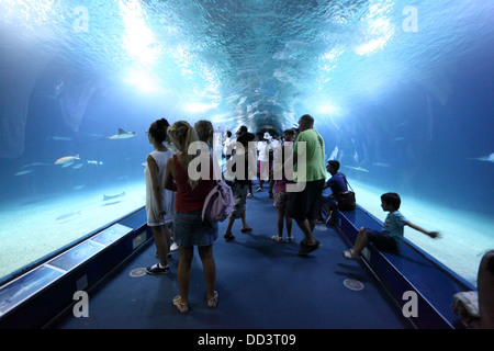 Inside of the L'Oceanografic aquarium in Valencia, Spain Stock Photo ...