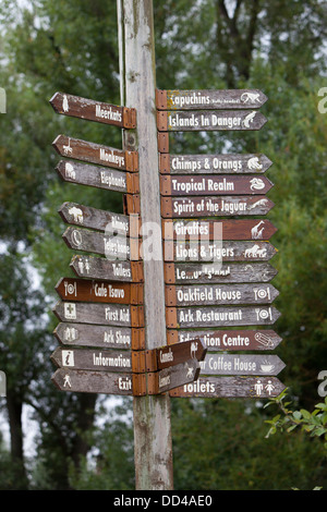 Wooden pole with direction signs Stock Photo - Alamy