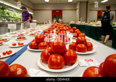 vegetable exhibition at the 2011 Kentucky state fair. Kentucky, USA ...