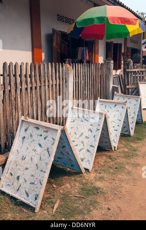 Laos, Luang Prabang, Ban Xang Khong, Saa paper Stock Photo - Alamy