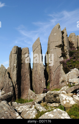 Bluestones outcrops of spotted dolerite Carn Menyn or Carn Meini ...