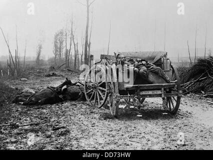 World War 1. Dead soldiers and horses in a field after the Battle of ...