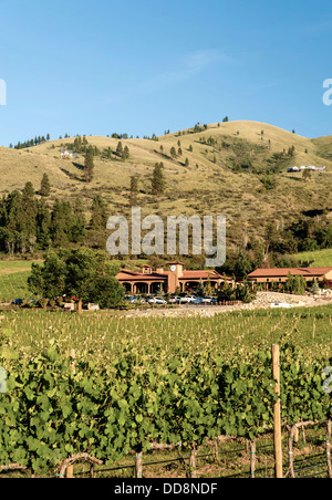USA, Washington, Lake Chelan. the Tsillan Cellars vineyard fronts Lake ...