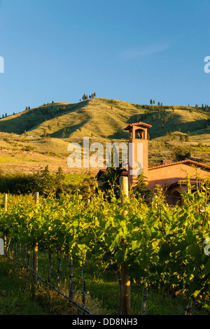 USA, Washington, Lake Chelan. the Tsillan Cellars vineyard fronts Lake ...
