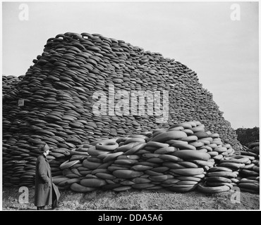 Millions of discarded rubber casings cover more than 100 acres at a ...