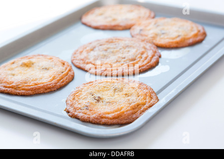 A tray of freshly baked cookies on a baking paper base sits on a white ...