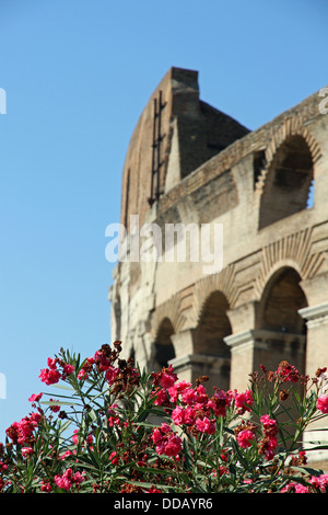 Arches of the imposing Colosseum among flowering plants of Oleander in ...