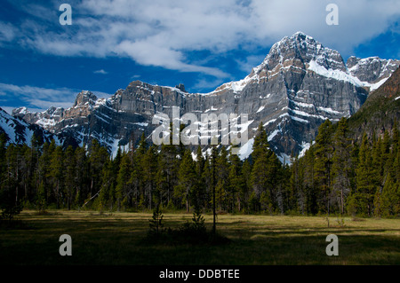 Mount Chephren from Chephren Lake Trail, Banff National Park, Alberta ...