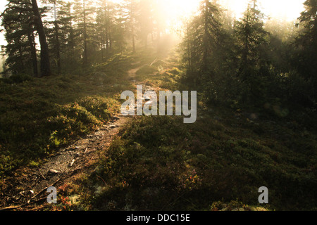 A nature around Telemark province and a Maelefjell mountain Stock Photo ...