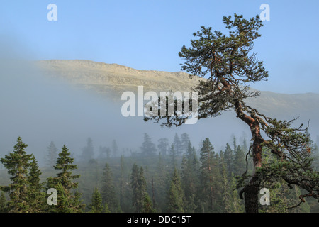 A nature around Telemark province and a Maelefjell mountain Stock Photo ...