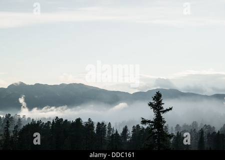 A nature around Telemark province and a Maelefjell mountain Stock Photo ...