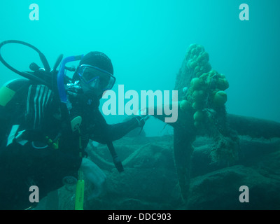 Scuba diving in Ireland Stock Photo - Alamy