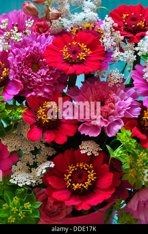 A beautiful display of Pinks Stock Photo - Alamy