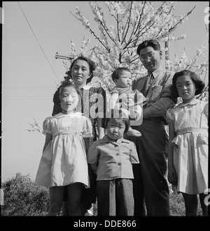 Henry Mitarai, a successful large-scale farm operator, is photographed ...