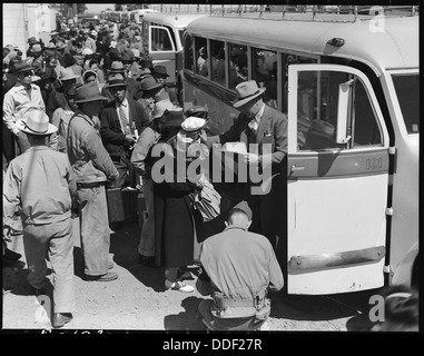 Byron, California. Farm families of Japanese ancestry boarding buses ...