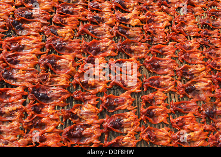 Skinned rice field rats being dried in the sun, Battambang, Cambodia ...