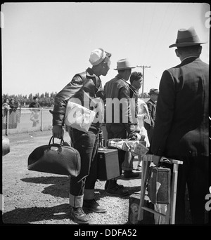 This photograph depicts Japanese evacuees arriving by train at Lone ...