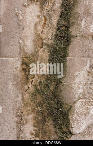 Closeup of an old mossy brick wall texture Stock Photo - Alamy