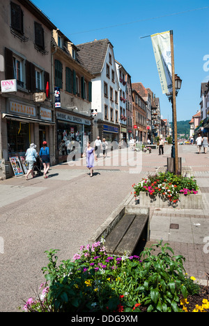 General view of the town of Saverne, Alsace, France Stock Photo - Alamy