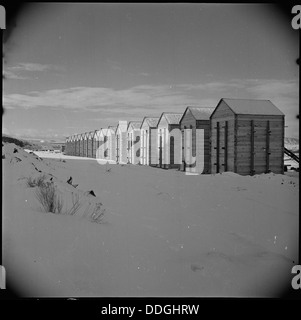 Granary storage buildings at the Tule Lake Relocation Center in Newell ...