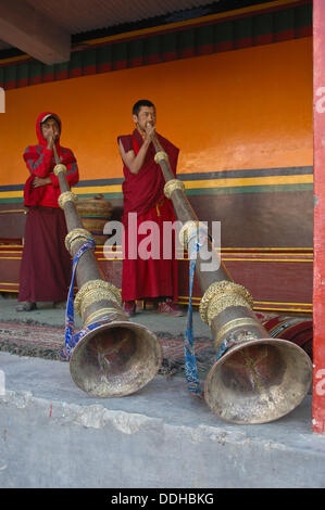 Ladakhi man playing musical instrument Ladakh Festival Leh Jammu and ...