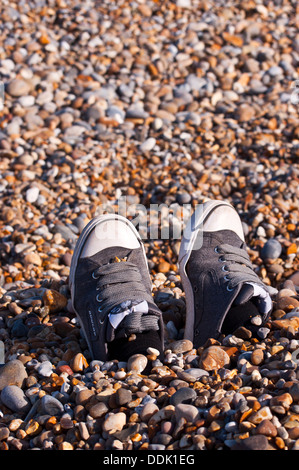snickers on pebble beach Stock Photo - Alamy