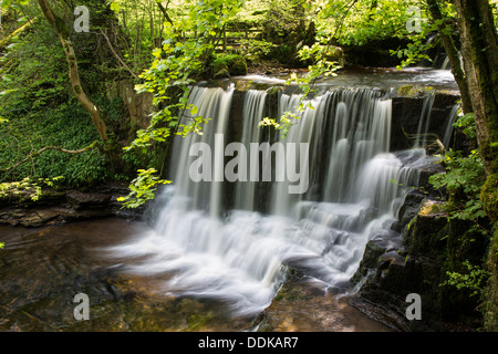 Crackpot Falls, Swaledale Yorkshire Dales National Park Stock Photo - Alamy