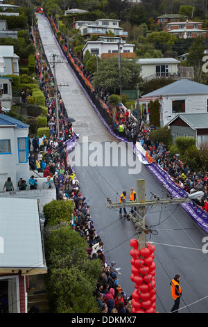 Annual Jaffa Race, Baldwin Street ( world's steepest street ), Dunedin ...