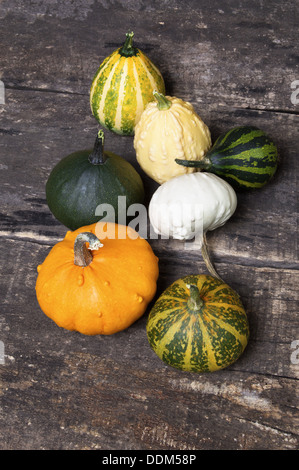 Autumn pumpkins on wooden board table. View with copy space Stock Photo ...