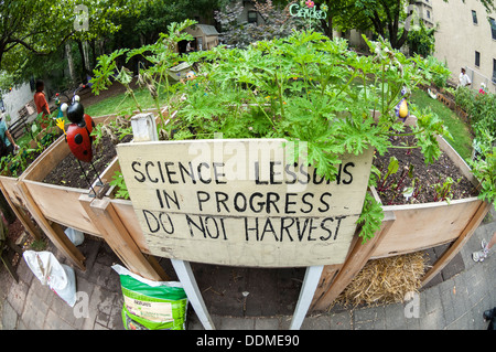 The Success Garden/Harlem Grown Garden in Harlem in New York Stock ...