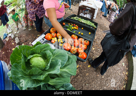 The Success Garden/Harlem Grown Garden in Harlem in New York Stock ...