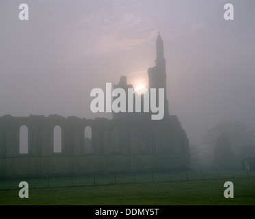 Byland Abbey at sunset Stock Photo - Alamy