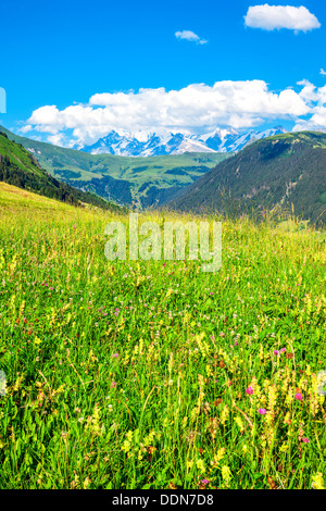 French Alps : COMBLOUX Stock Photo - Alamy