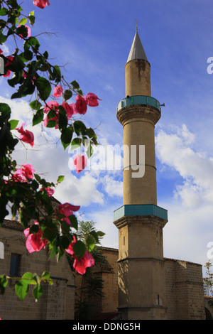 Cyprus, Nicosia, Lefkosia, Omeriye Mosque Stock Photo - Alamy