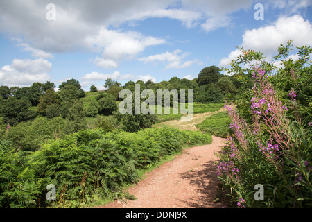 The National Trust's Clent Hills near Hagley, Worcestershire, England ...